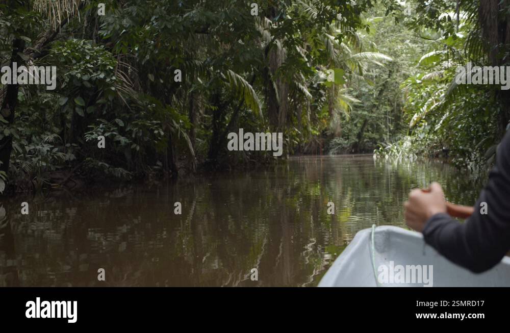 Boat navigating through narrow river in amazon rainforest Stock Video ...