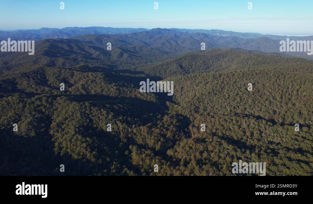 Vista Of Forest Mountain Ridges In D'Aguilar National Park, Mount Mee ...