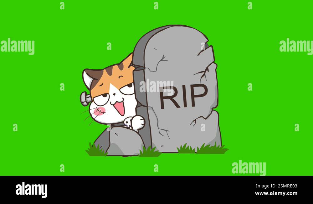 Halloween Themed Animated Cat with RIP Tombstone - Green Screen Stock ...