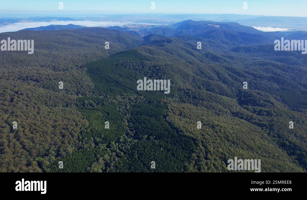 Scenic View Of Green Lush Mountains In D'Aguilar National Park, Mount ...