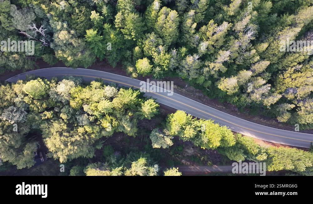 Patagonia Road At Bariloche In Rio Negro Argentina. Snowy Mountains ...