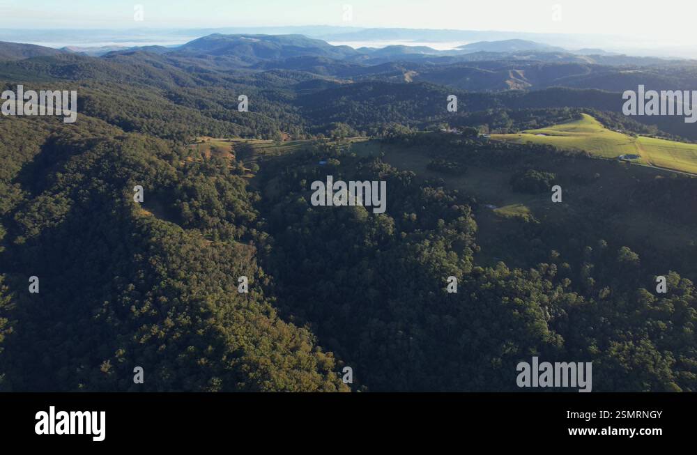 Landscape Of D'Aguilar National Park In Mount Mee, QLD, Australia ...
