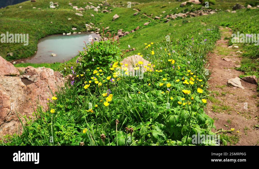 Static shot of a hiker walking along a small trail in the Kazakhstan ...