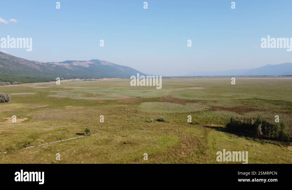 A huge karst field. Grass in the field, drone shot. Livanjsko polje ...