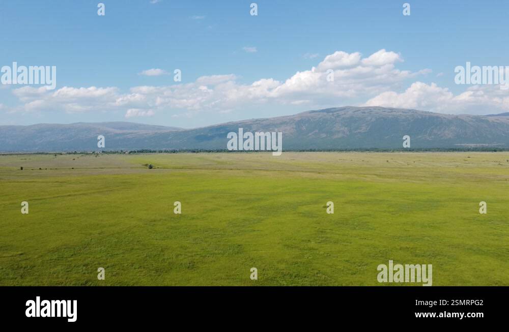A huge karst field. Grass in the field, drone shot. Livanjsko polje ...