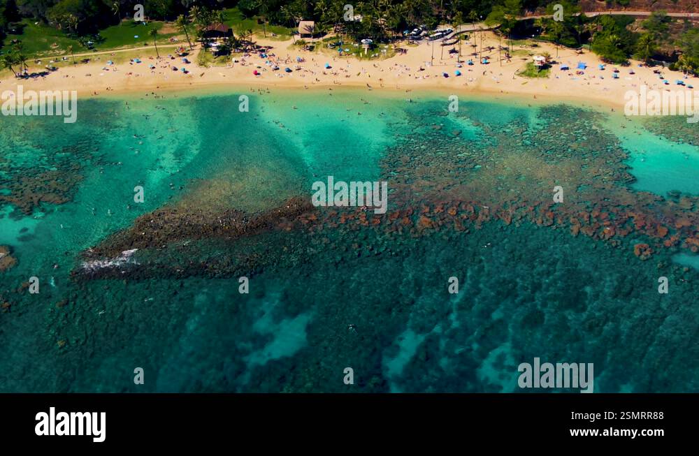 zoom into ocean reef in crystal clear waters of Hanauma Bay Nature ...