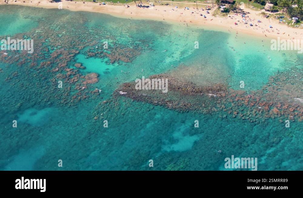 panning tilt view of beautiful beach in Hanauma Bay Nature Preserve ...