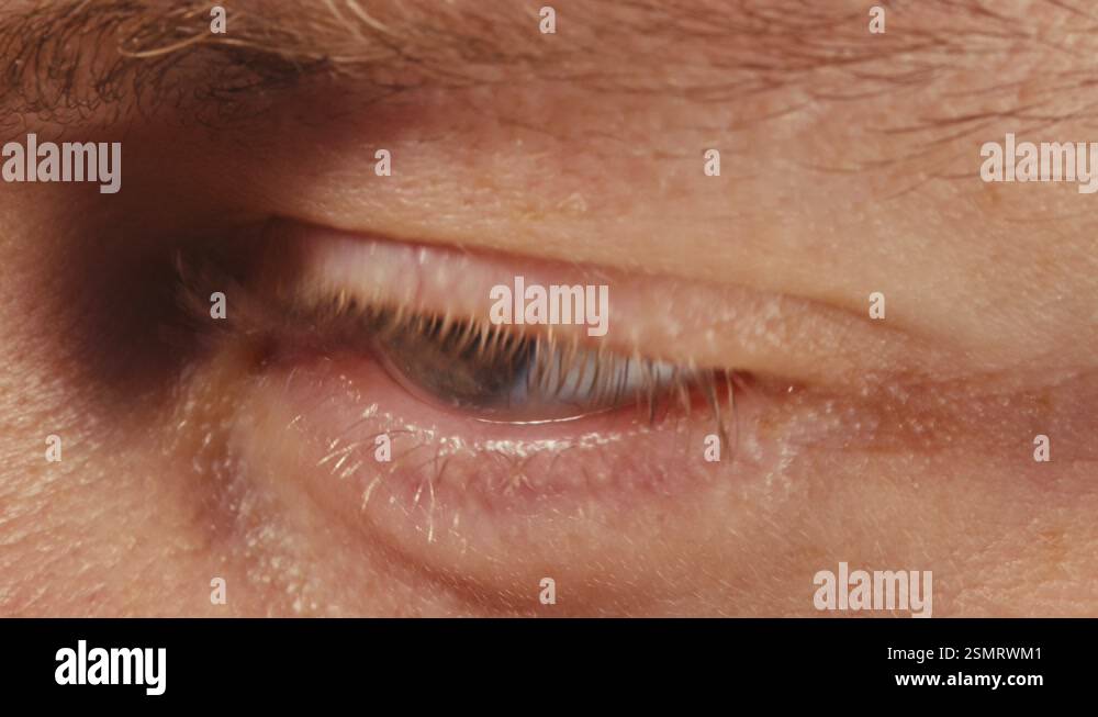 Macro photo of a detailed blue eye with strong gaze, showing human ...