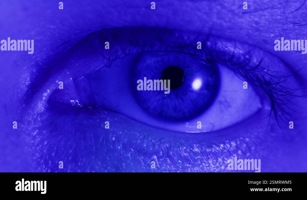 Detailed blue eye with strong gaze, showing human anatomy and beauty ...