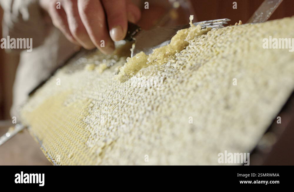 Close-up on honey fork used to unseal honeycomb to remove wax and ...