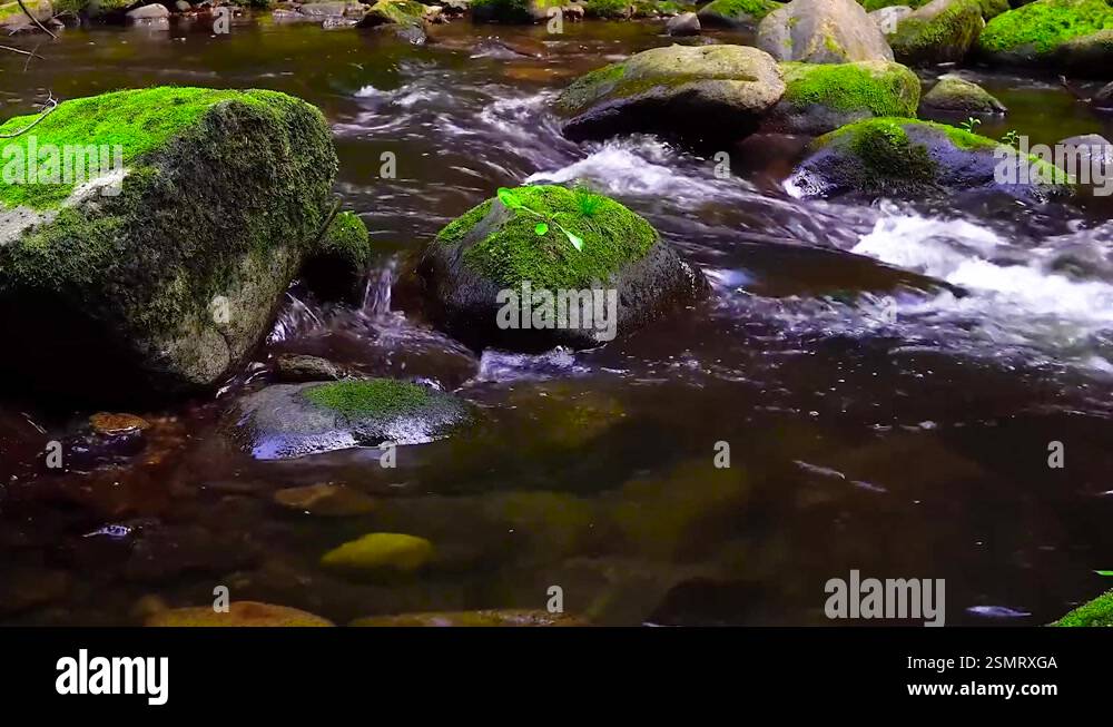 Footage of a river in nature with fast water movement through some ...