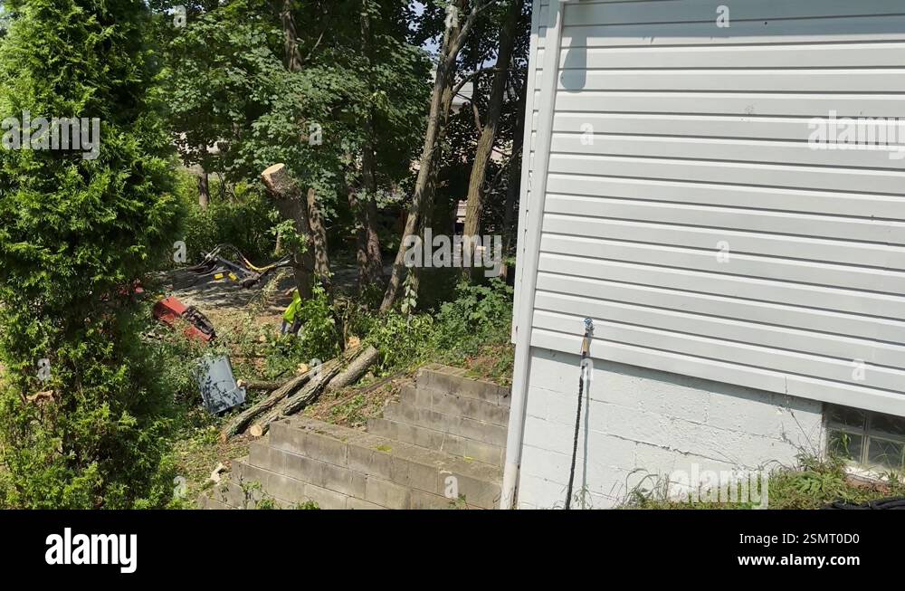 Tree demolition Stock Videos & Footage - HD and 4K Video Clips - Alamy