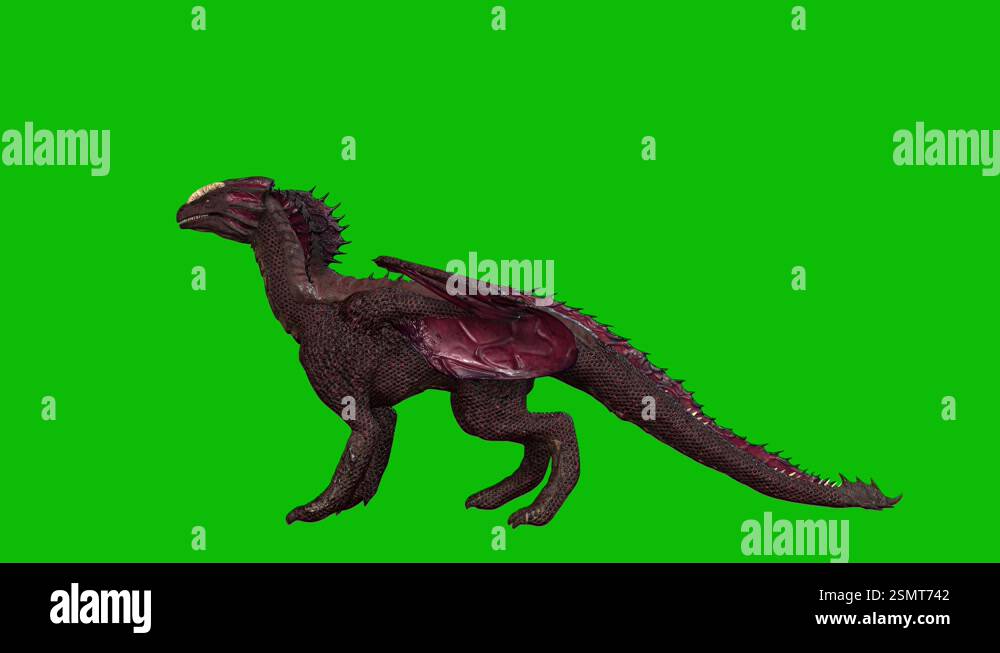 Dragon fantasy creature, monster, standing idle on green screen, side ...