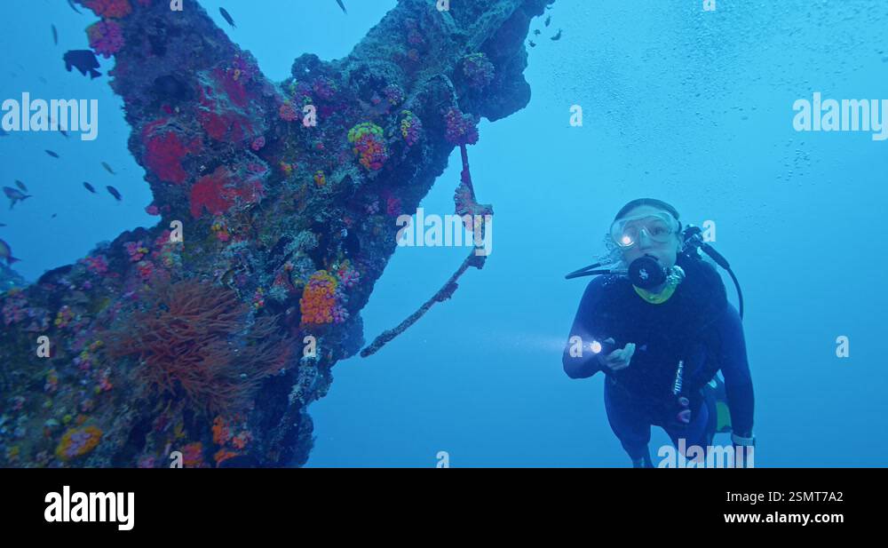 Scuba diver looks at ship wreck mast Stock Video Footage - Alamy