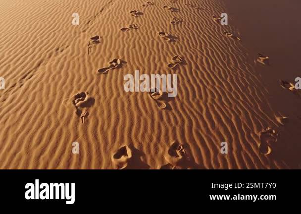 Footprints in the sand dunes of the Sahara Desert. A journey through ...