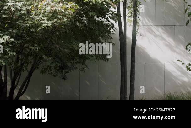 A calm scene of an urban garden featuring leafy trees against a modern ...