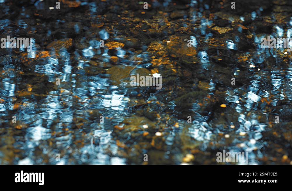 The transparent clear water of the shallow pond with rocky bottom ...