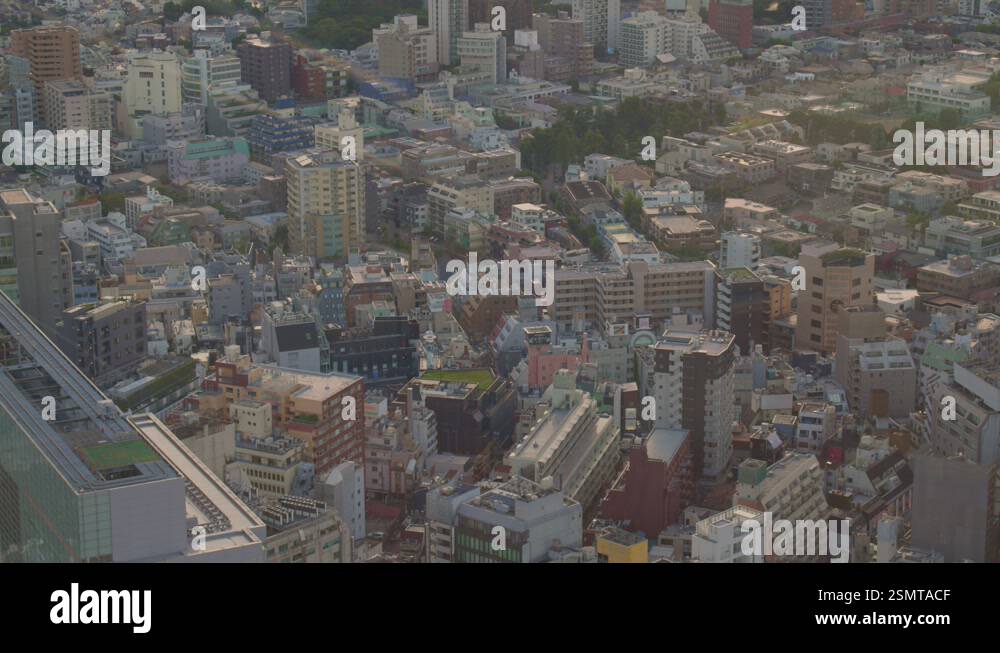 Shibuya at Dusk: Tokyo’s Rooftop PanoramaEnjoy a panoramic rooftop view ...