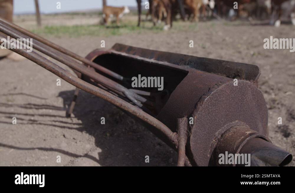 Branding irons in the branding fire Stock Video Footage - Alamy