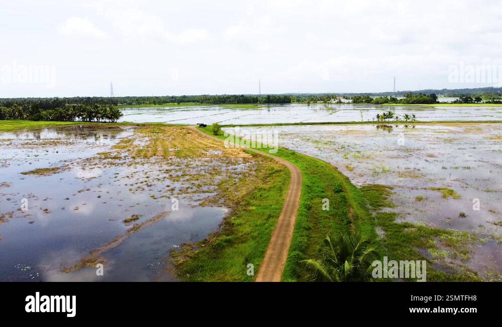 Beautiful sky, walk way in paddy field, Back water, A rural road runs ...