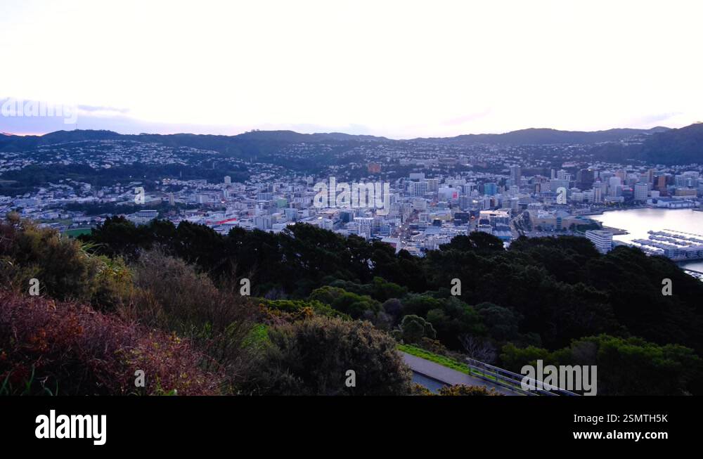 Scenic panoramic view from Mt Vic lookout of Wellington cityscape ...