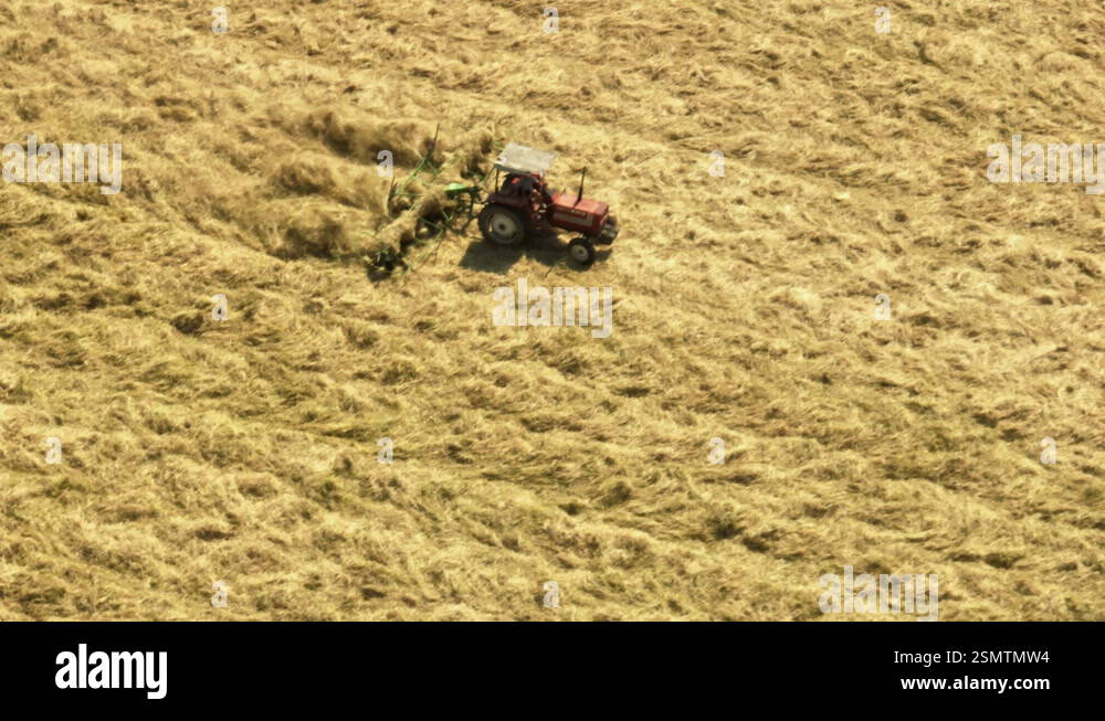 A red tractor plowing a vast golden field, aerial view Stock Video ...