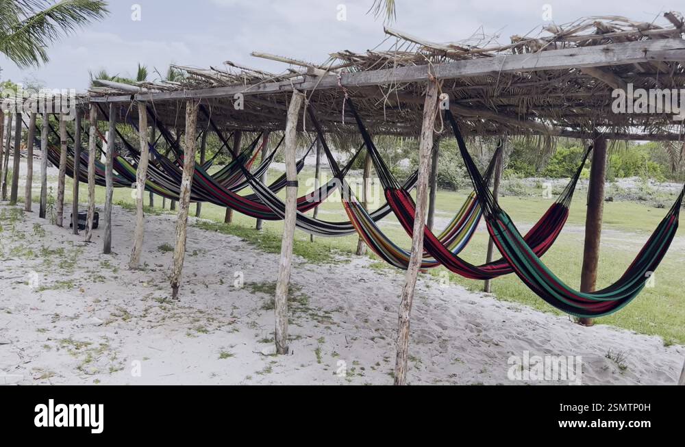 Superficial view of outdoor hammocks in nature with natural roof in a ...