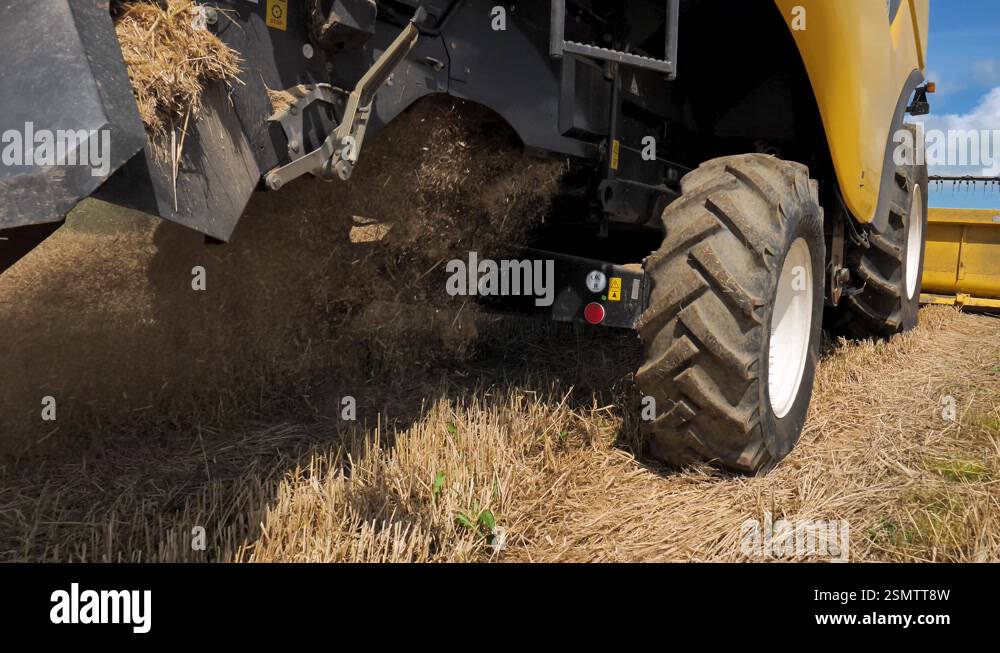 Straw and chaff cascading from the rear of a combine harvester as it ...