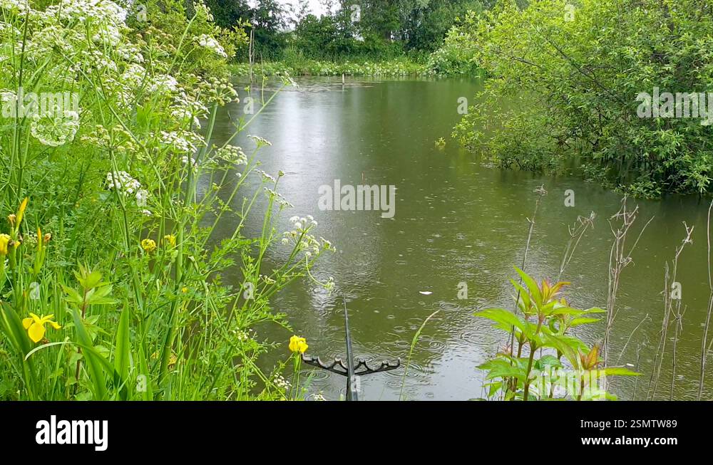 Scenic view of coarse fishing rod and float on freshwater lake with ...