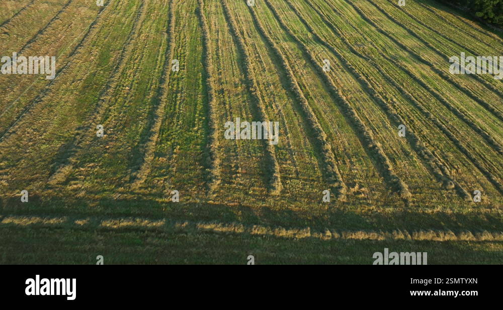 Rows hay sunrise Stock Videos & Footage - HD and 4K Video Clips - Alamy