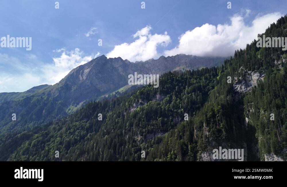 Swiss Alps mountains and forest in Switzerland, nature landscape aerial ...