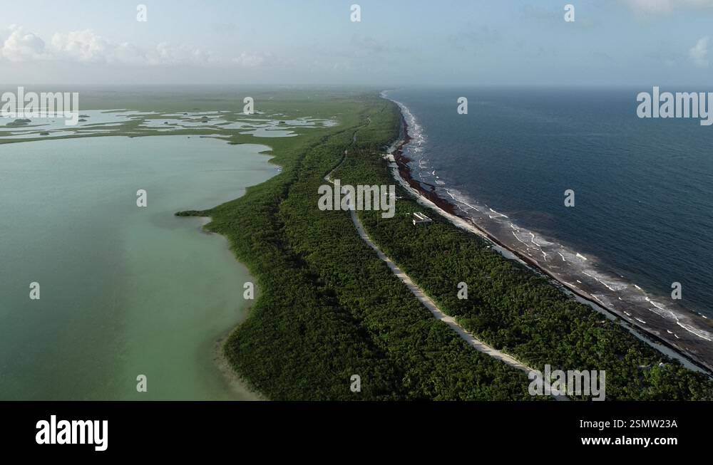 Aerial drone footage of a shoreline road in Tulum, Mexico Stock Video ...