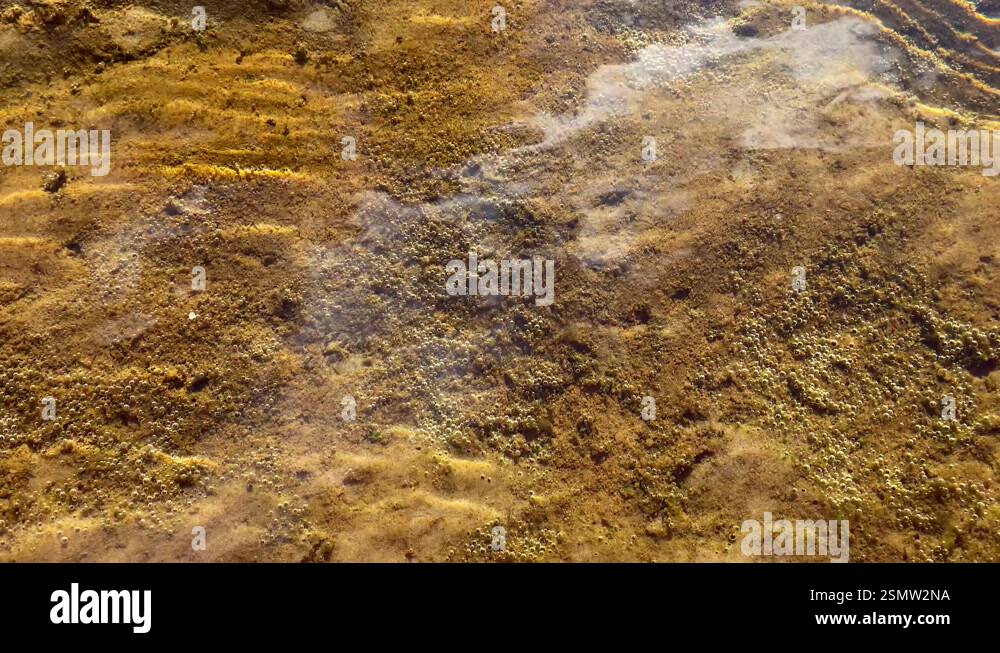 Clear river water with yellow sand and air bubbles at the bottom Stock ...