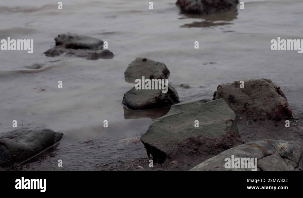 Gray lining Stock Videos & Footage - HD and 4K Video Clips - Alamy