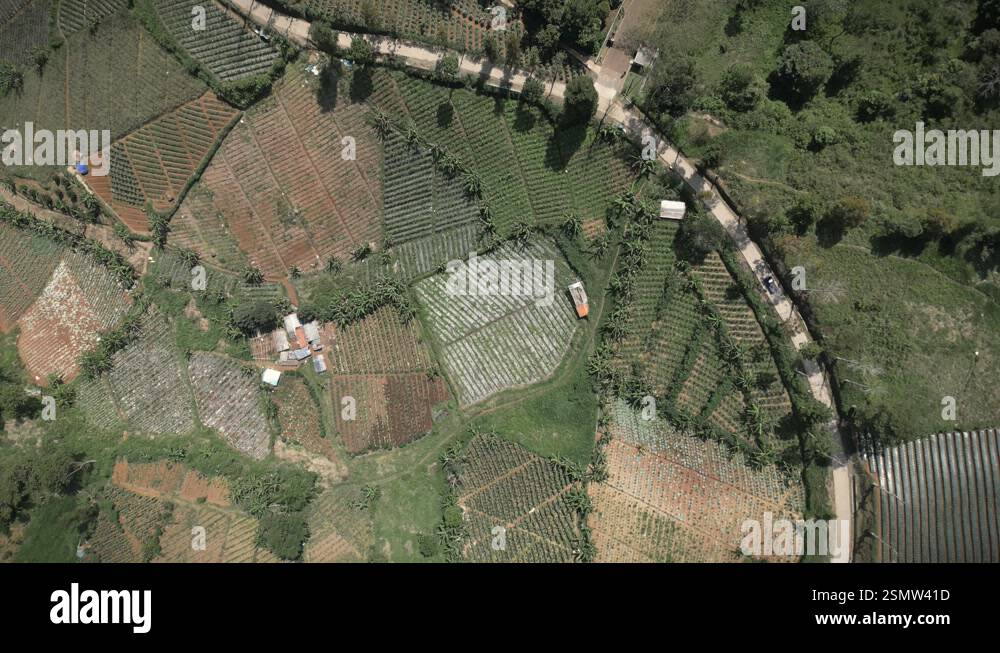 The Vegetable Farm on both sides of the narrow road. Bandung, Indonesia ...