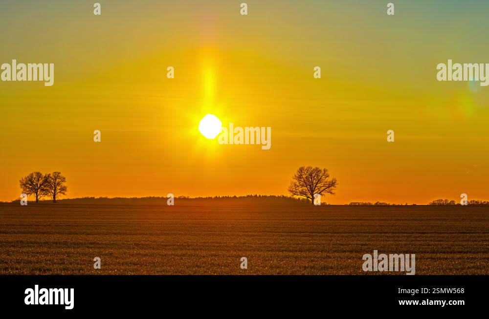 Static shot of sun setting down over green field with trees. Timelapse ...