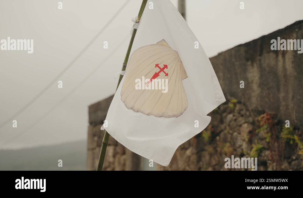 Scallop symbol pilgrimage santiago Stock Videos & Footage - HD and 4K ...