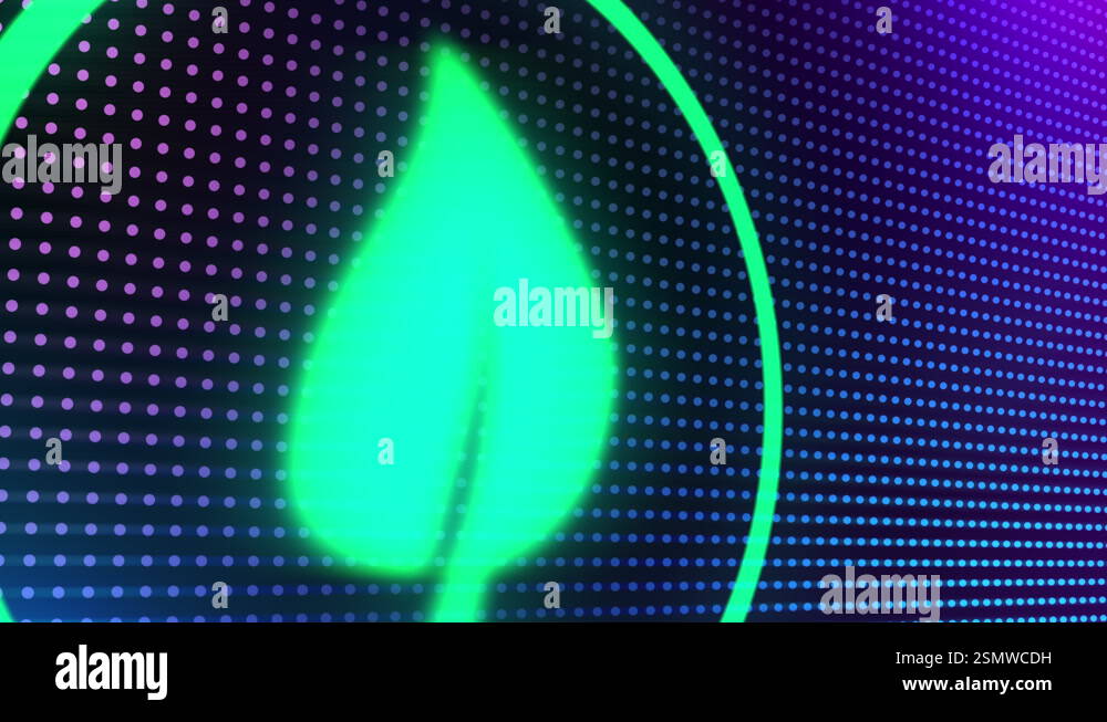 Eco Energy Animated Leaf and Bulb Represent Sustainability Stock Video ...