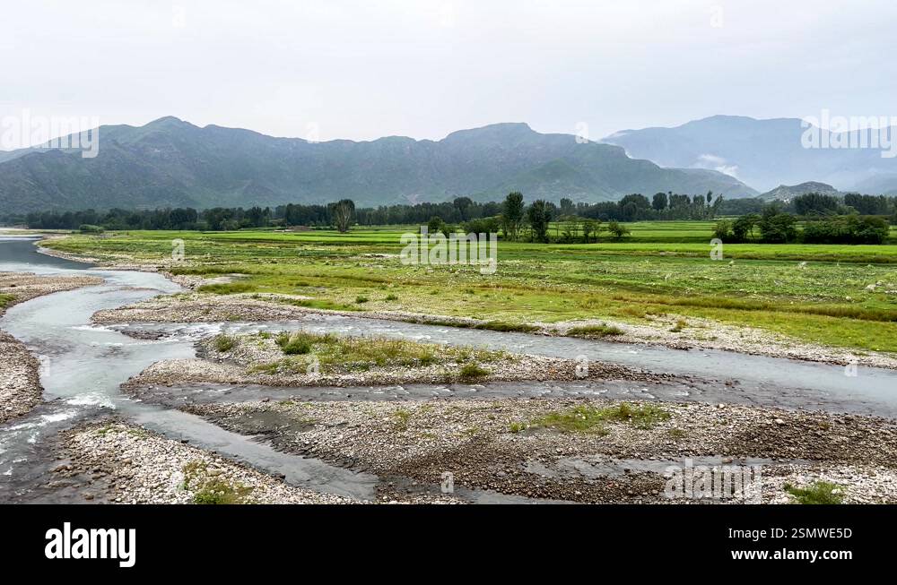 River Winding Through a Green Rice Fields in Countryside of Pakistan ...