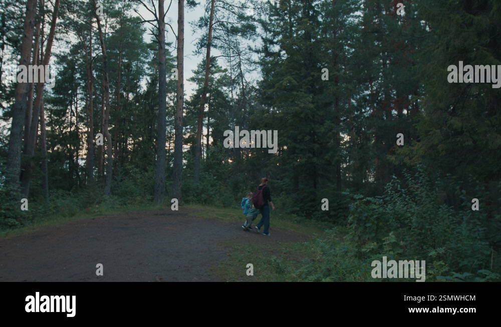 Family hiking in the dark forest. Mother with kids walk in the forest ...