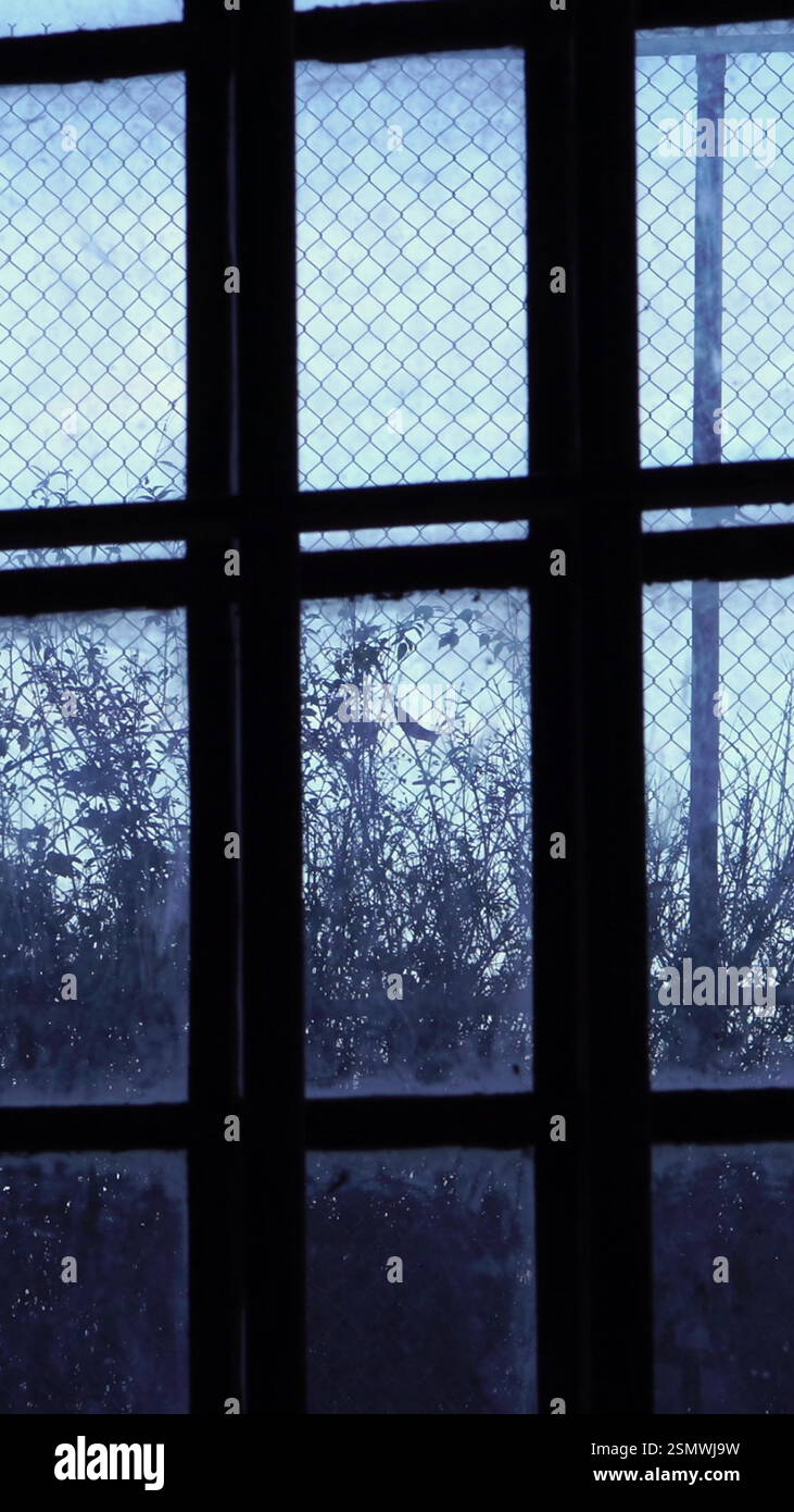Vertical View, Alcatraz Prison Window With Metal Bars and High Fence ...