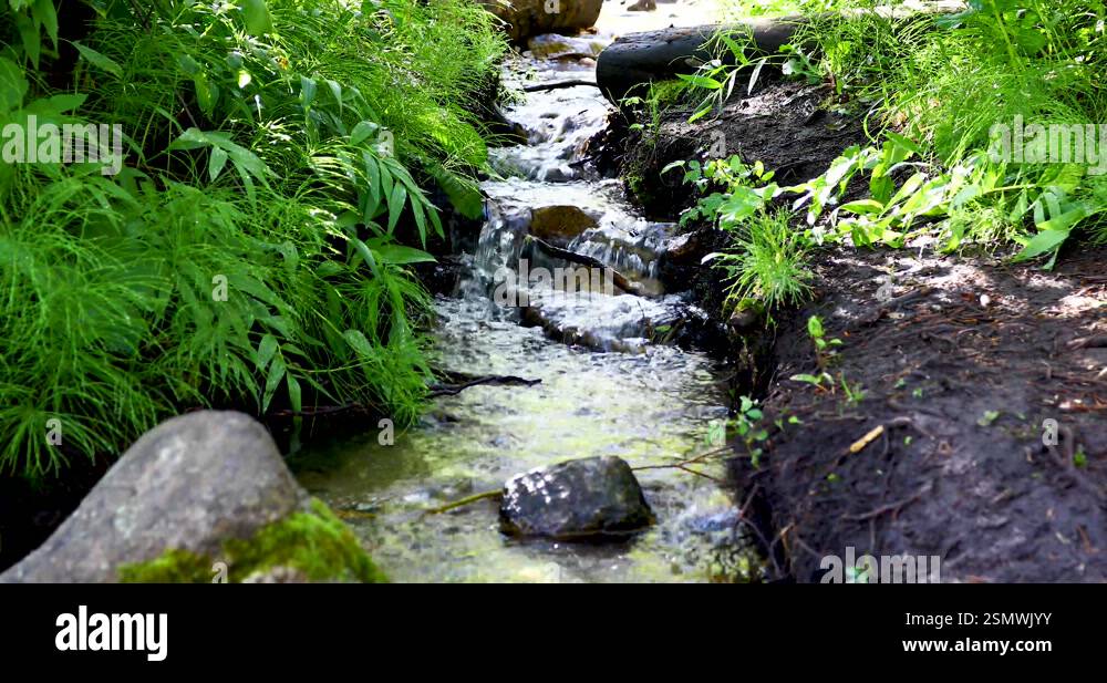 Static video of a scenic creek flowing in Breckenridge Colorado. Water ...