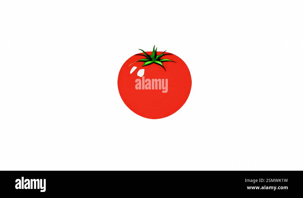 2d model of a tomato isolated on a white background. 4k Stock Video ...