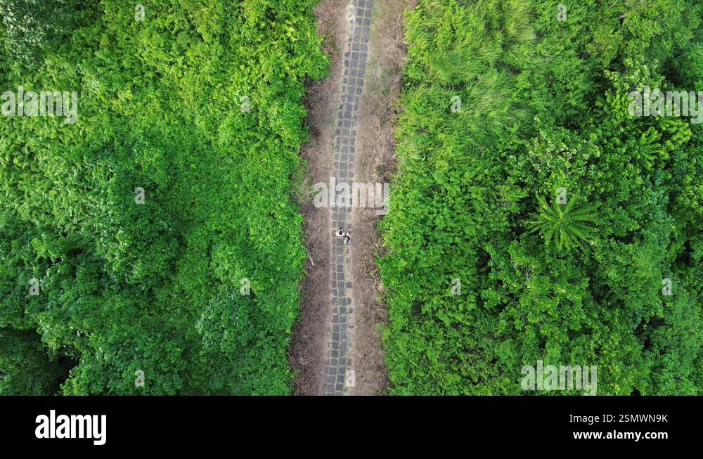 Top-down shot of a couple walking along a stone walkway within a Stock ...