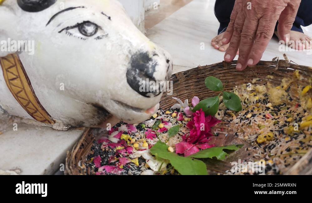 Hindu Rituals, people are worshiping Ganga Jal in the temple Stock ...