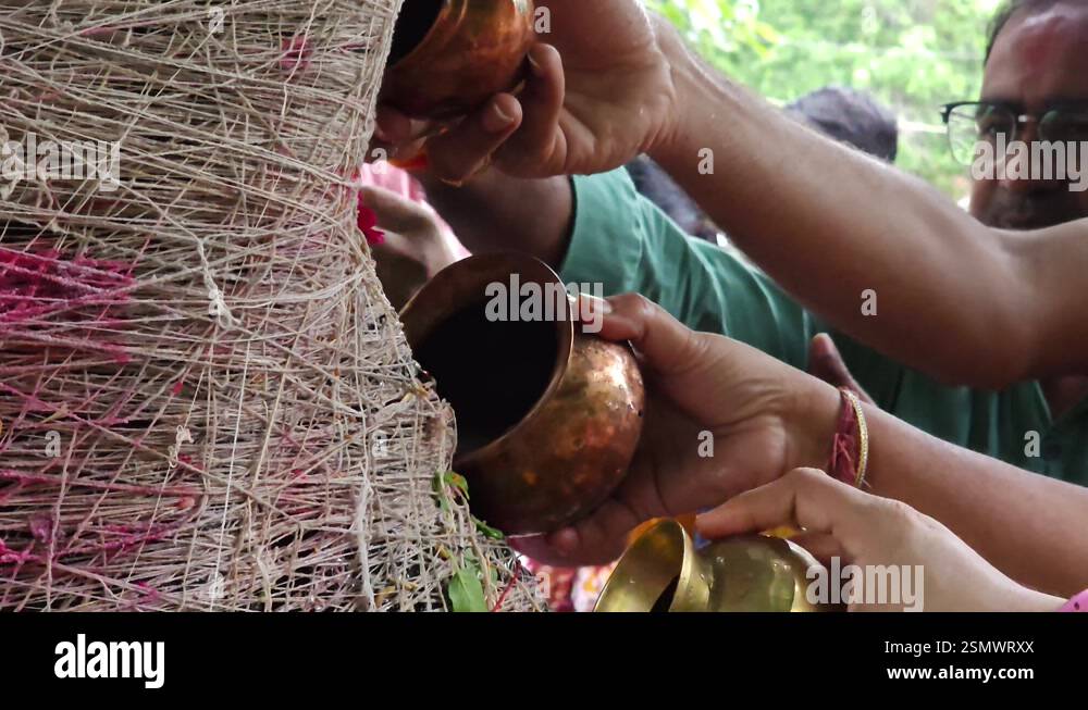 Hindu Prayer Rituals, offering water on peepal tree Stock Video Footage ...