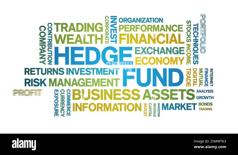 Hedge Fund animated word cloud,animation tag kinetic typography ...