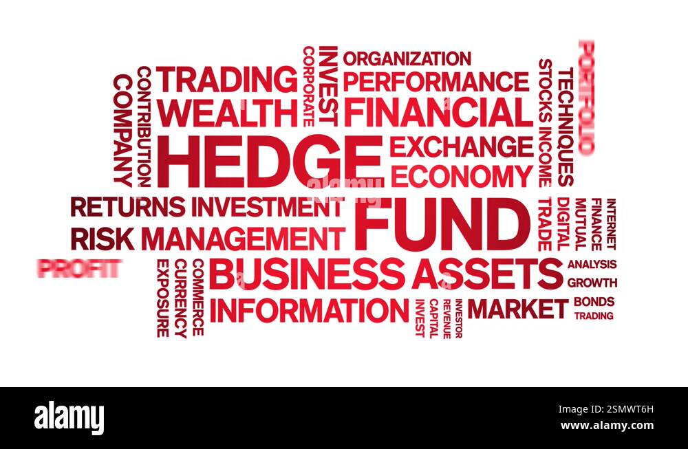 Hedge Fund animated word cloud,animation tag kinetic typography ...