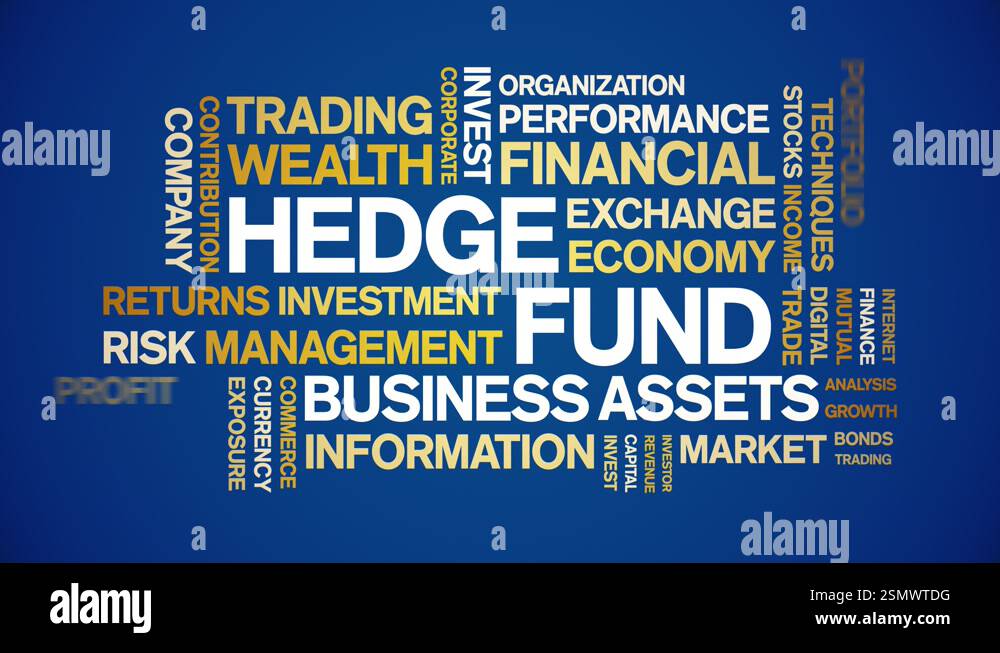 Hedge Fund animated word cloud,animation tag kinetic typography ...
