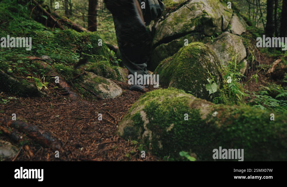 Male hiker in trekking shoes walks along path in forest, foot steps ...